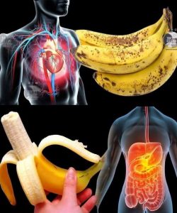 Did you know that eating bananas increases… See more – Recipes