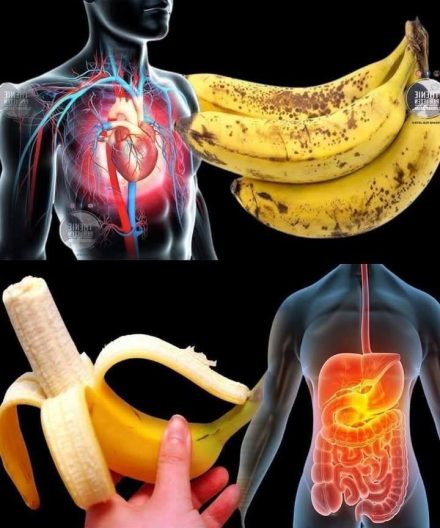 Did you know that eating bananas increases… See more – Recipes