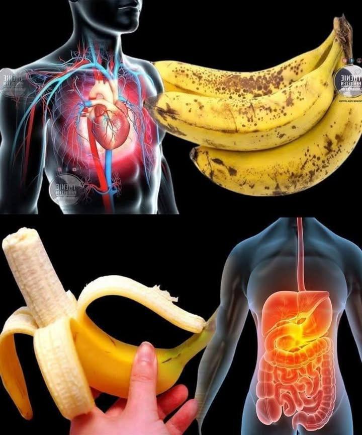 Did you know that eating bananas increases… See more – Recipes